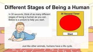 Human Life Cycle science for upper primary | PPT