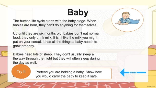 Human Life Cycle science for upper primary | PPT