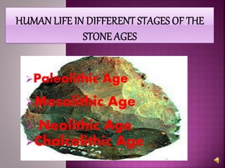 Human life in different stages of the stone | PPT