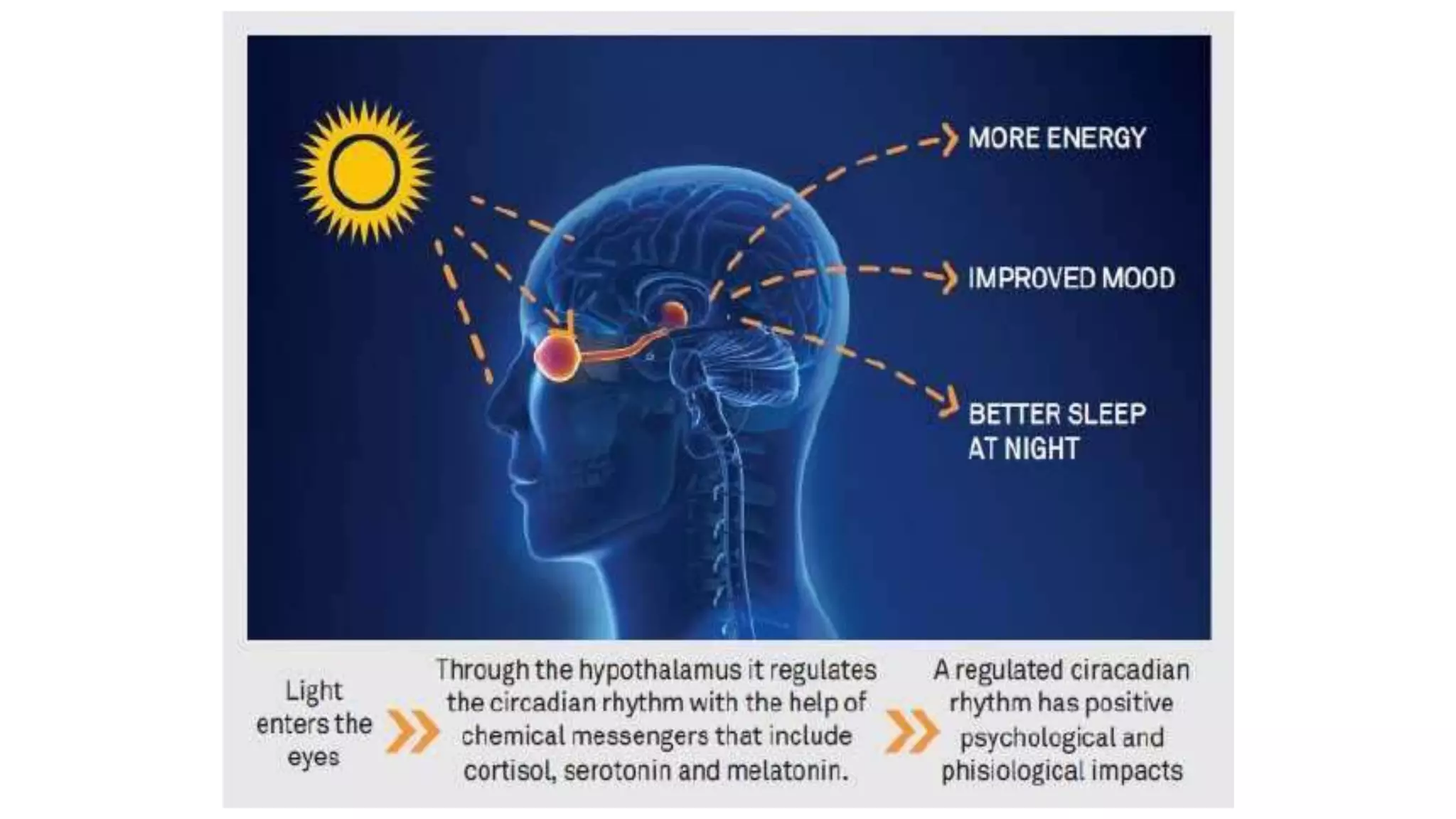 “Human Centric Lighting”- [Mind +Body + Light] | PPTX