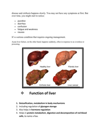 Human liver.docx