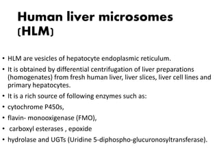 Human liver microsomes & rat liver microsomes | PPTX