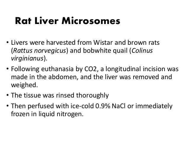 Human liver microsomes & rat liver microsomes