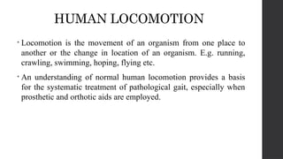 HUMAN LOCOMOTION AND THE GAIT CYCLE 1.pptx