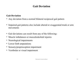 Human locomotion final | PPT