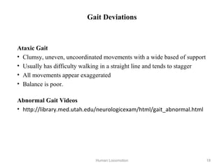 Human locomotion final | PPT