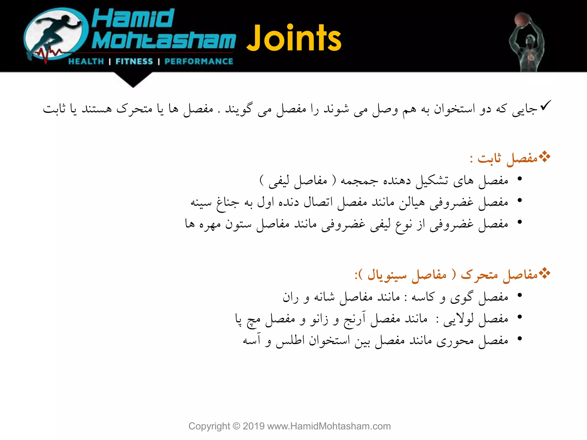 Human locomotor system | PDF