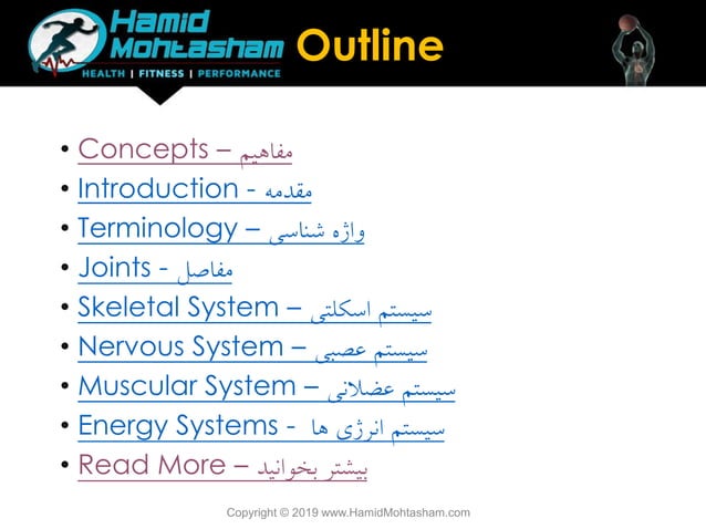 Human locomotor system | PDF