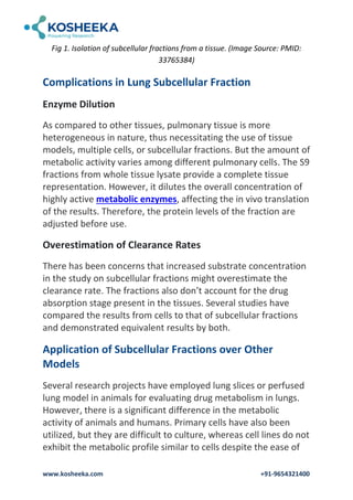 Human Lung Subcellular Fractions in Research & Preclinical Development ...