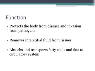 Human Lymphatic System | PPTX