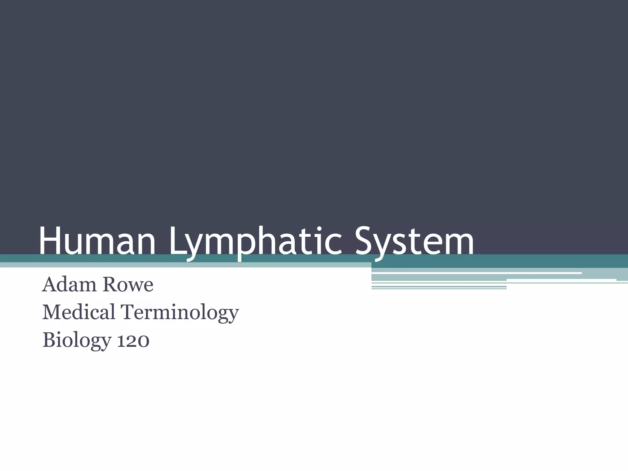 Human Lymphatic System | PPT