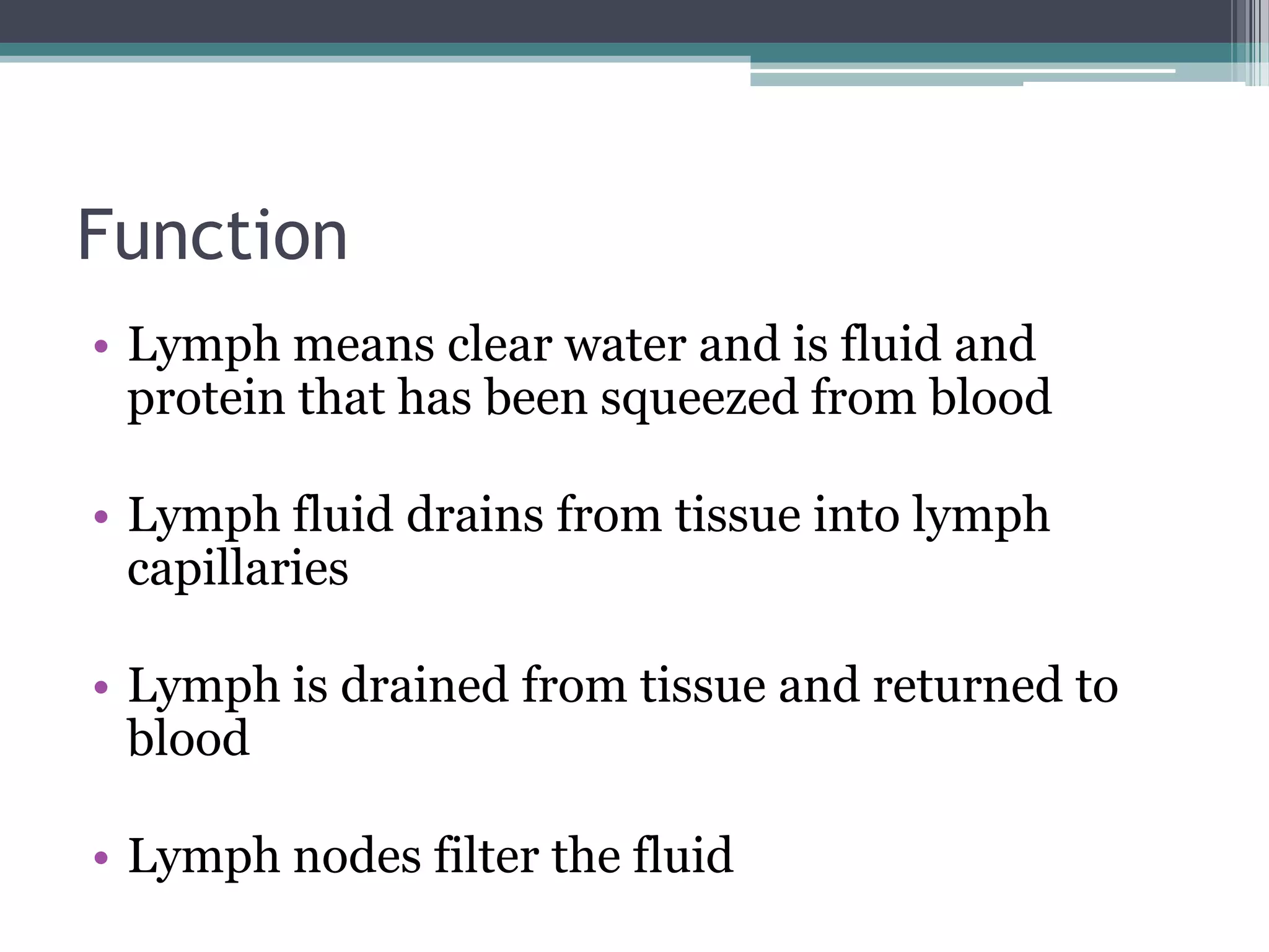Human Lymphatic System | PPT