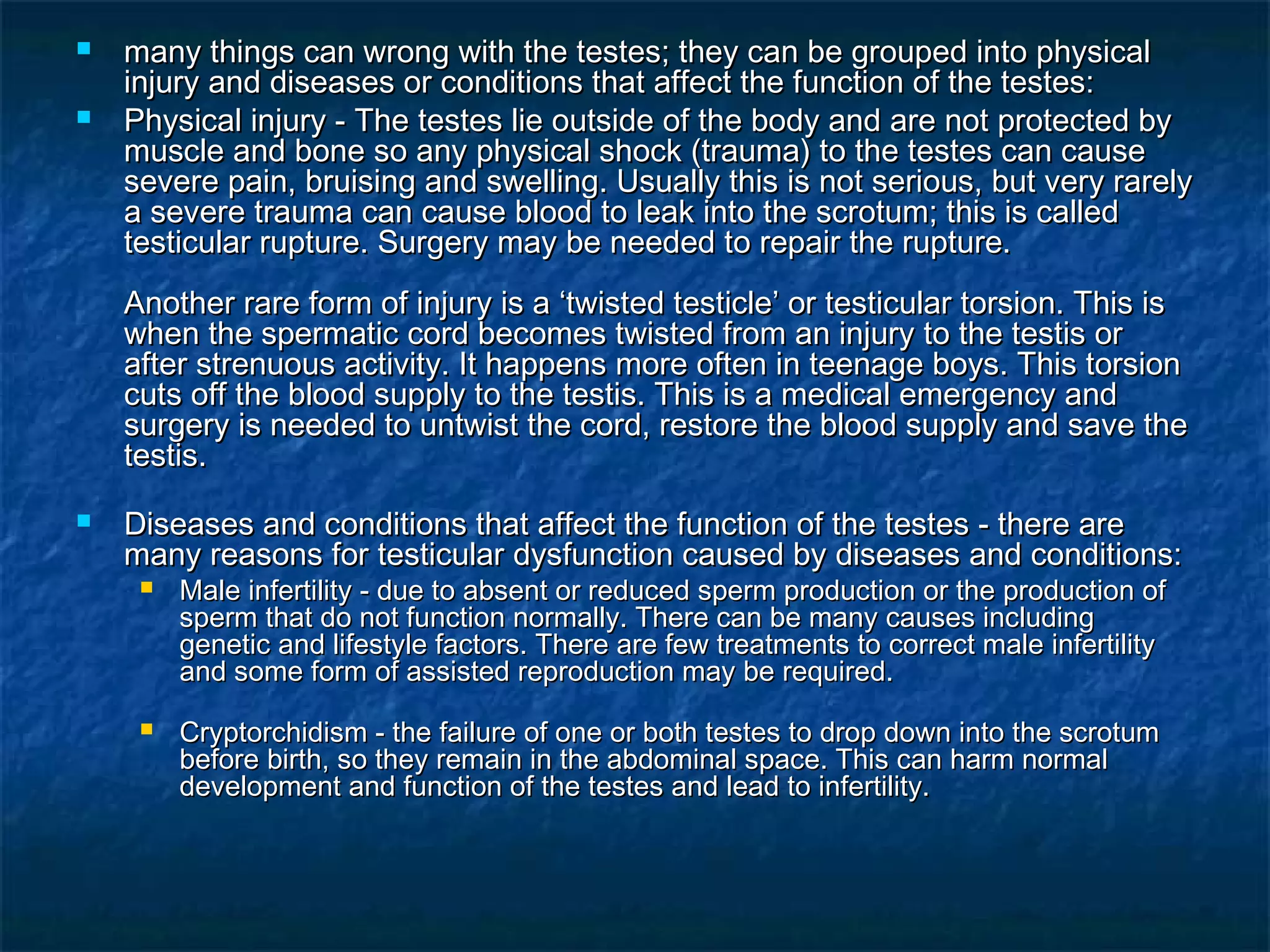 Human male reproductive system | PPT