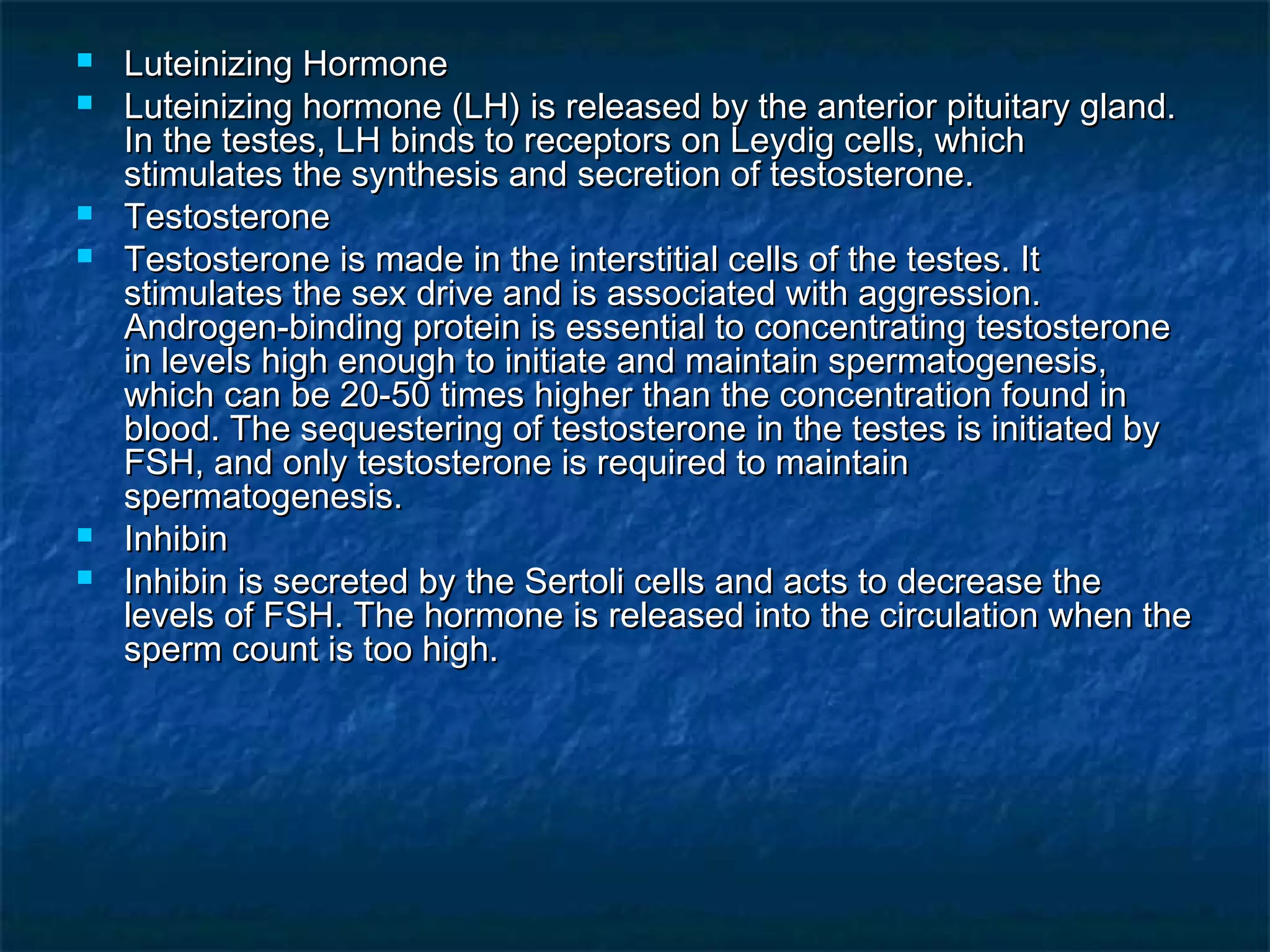 Human male reproductive system | PPT