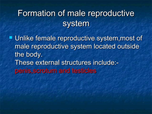 Human male reproductive system | PPT | Infertility | Reproductive Health