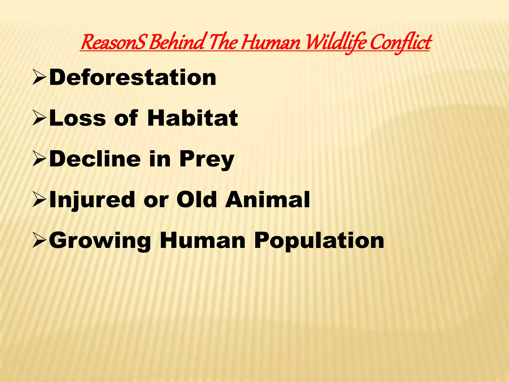Human wildlife conflict | PPTX