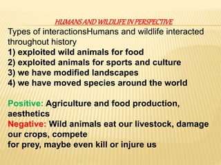 Human wildlife conflict | PPTX