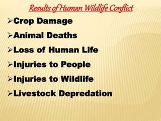 Human wildlife conflict | PPTX