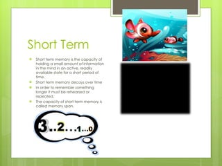 Human memory | PPT