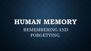 Human memory | PPT
