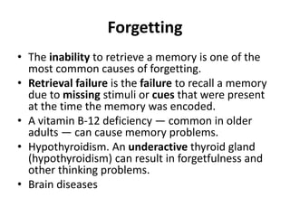 Human memory by rustam | PPT