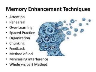 Human memory by rustam | PPT
