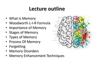 Human memory by rustam | PPT