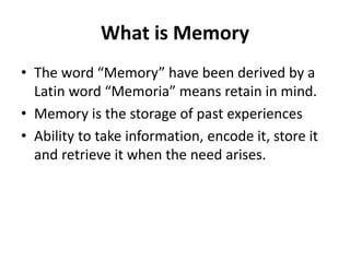 Human memory by rustam | PPT
