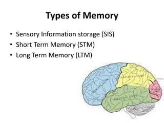 Human memory by rustam | PPTX