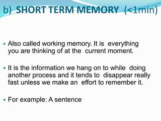 Human memory | PPTX