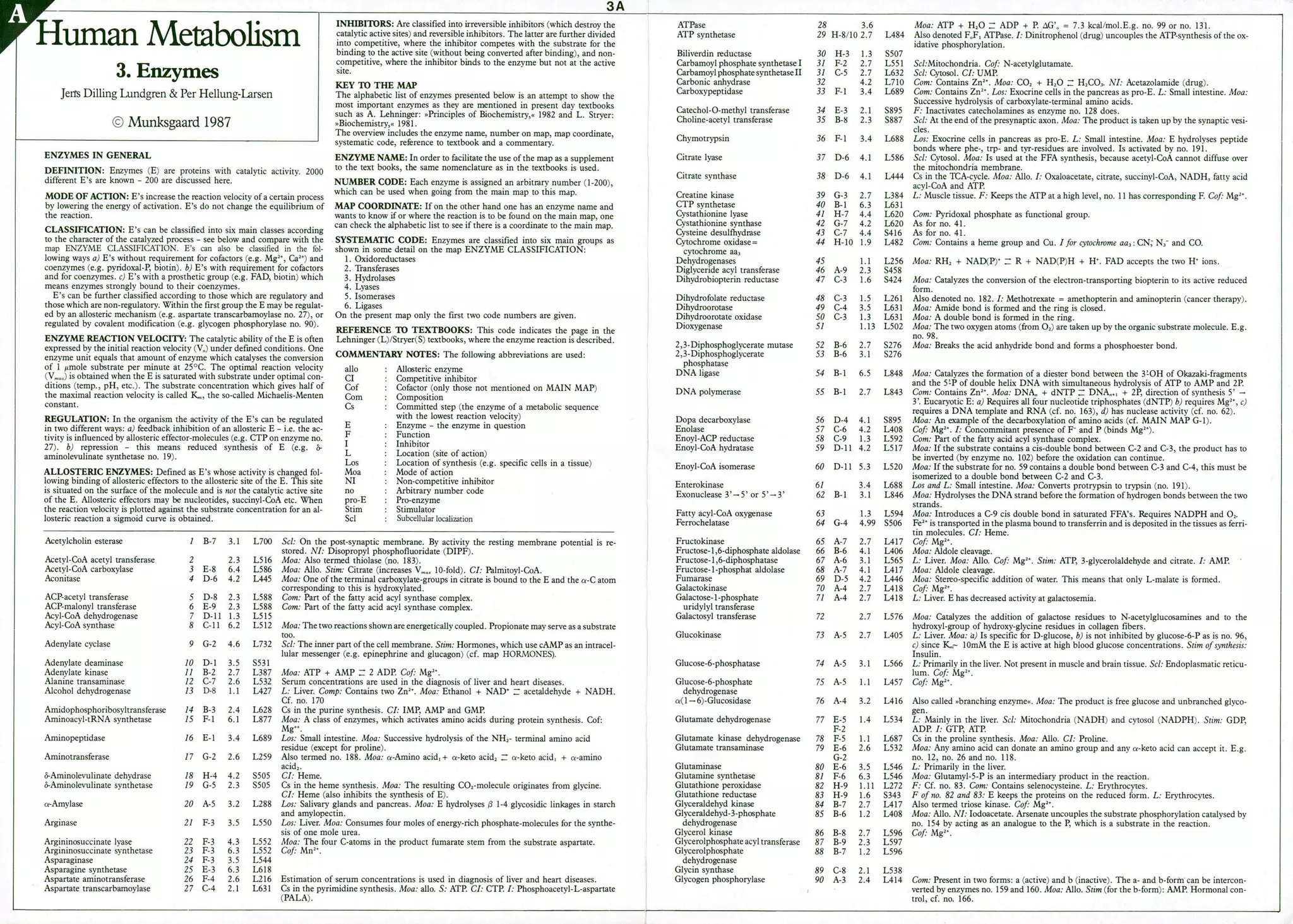Human metabolism manual, map, enymes, hormones, pathways etc | PDF ...