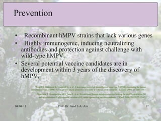 Human metapneumovirus | PPT