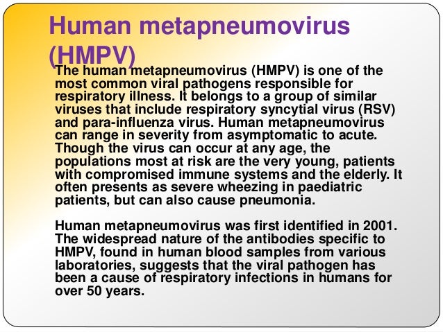 Hmpv Outbreak What Is Hmpv Virus Symptoms Treatment And Prevention ...