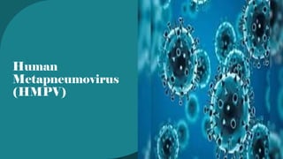 Human Metapneumovirus (HMPV).ppt DR Shivani Bandekar | PPTX
