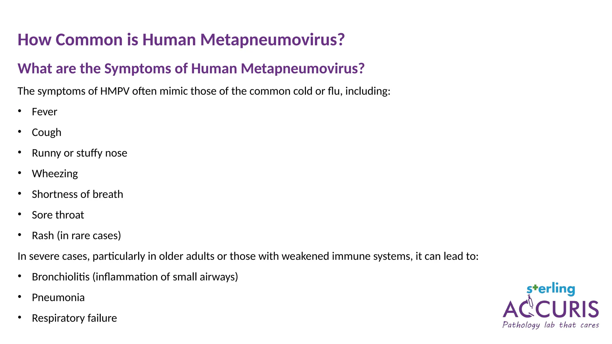 Human Metapneumovirus (HMPV) Everything You Need to Know.pptx