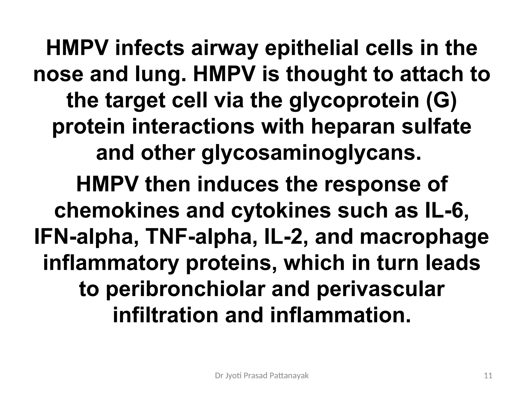 Human metapneumovirus (HMPV or hMPV).ppt