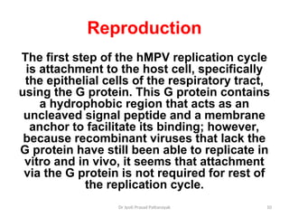 Human metapneumovirus (HMPV or hMPV).ppt