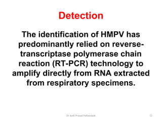Human metapneumovirus (HMPV or hMPV).ppt