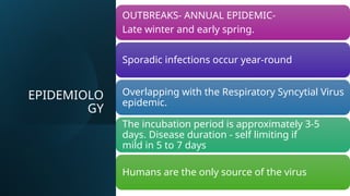 Human Metapneumovirus Infection - Paediatric-1.pptx