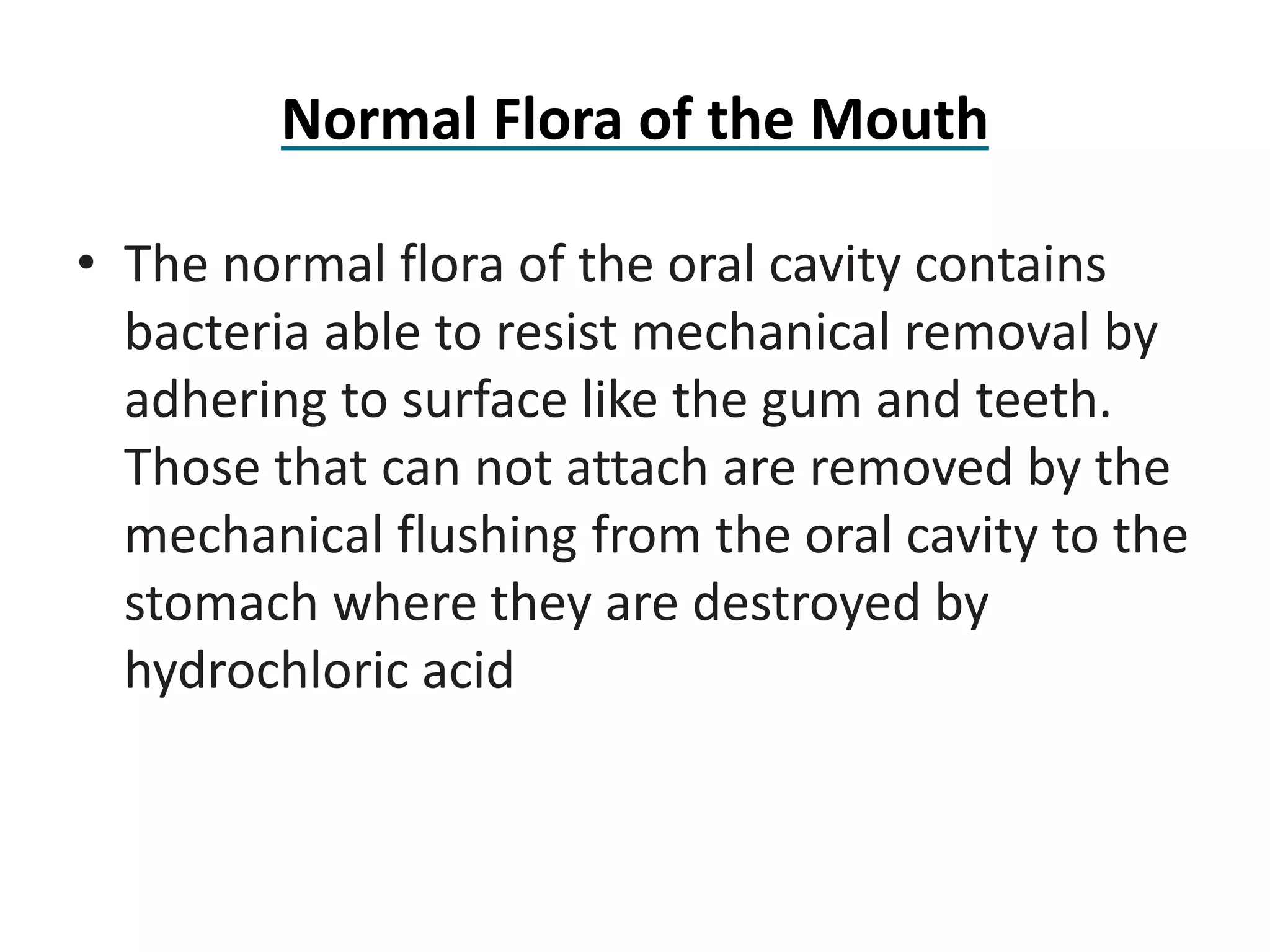 Human microbial flora | PPTX