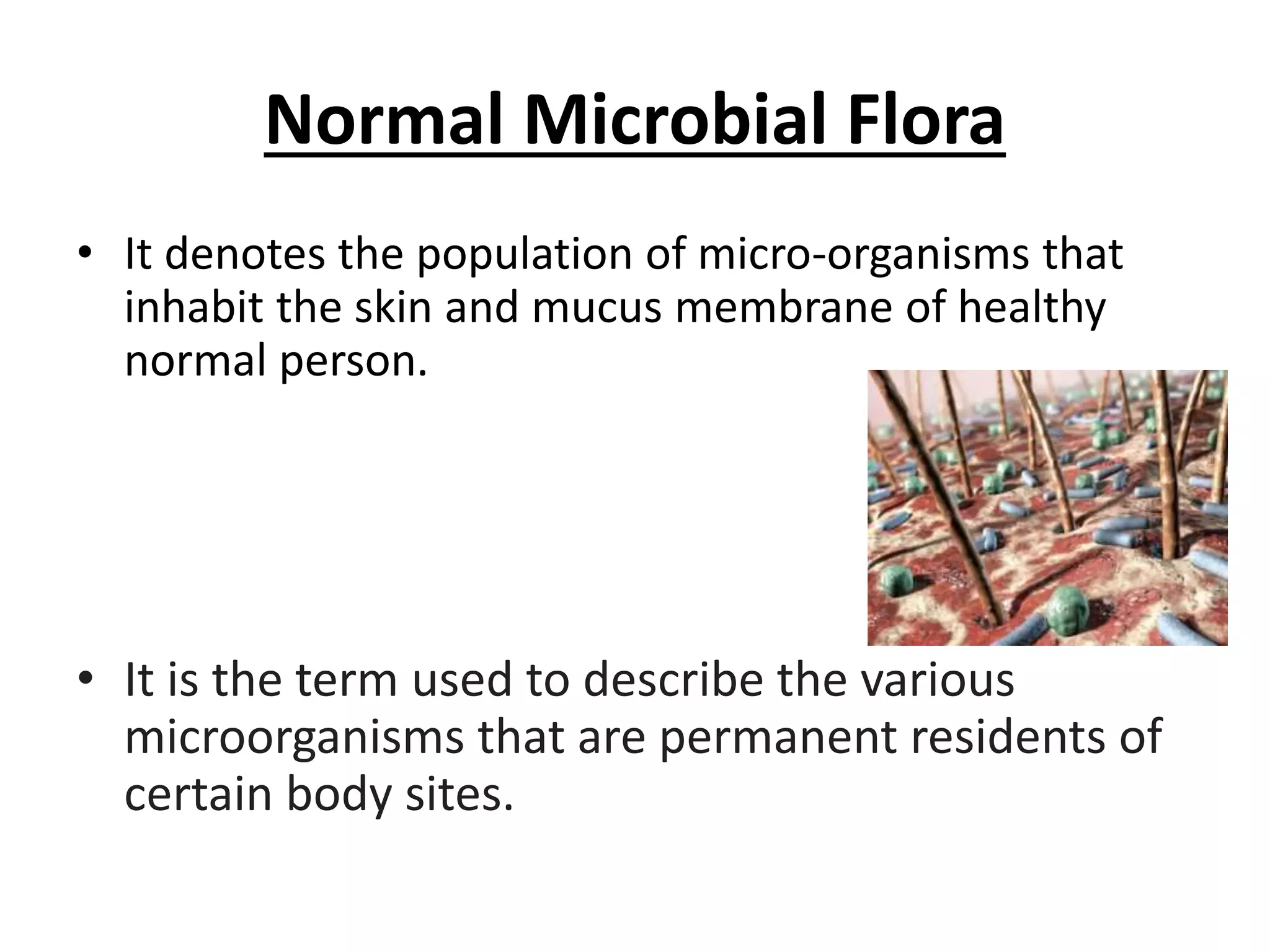 Human microbial flora | PPTX