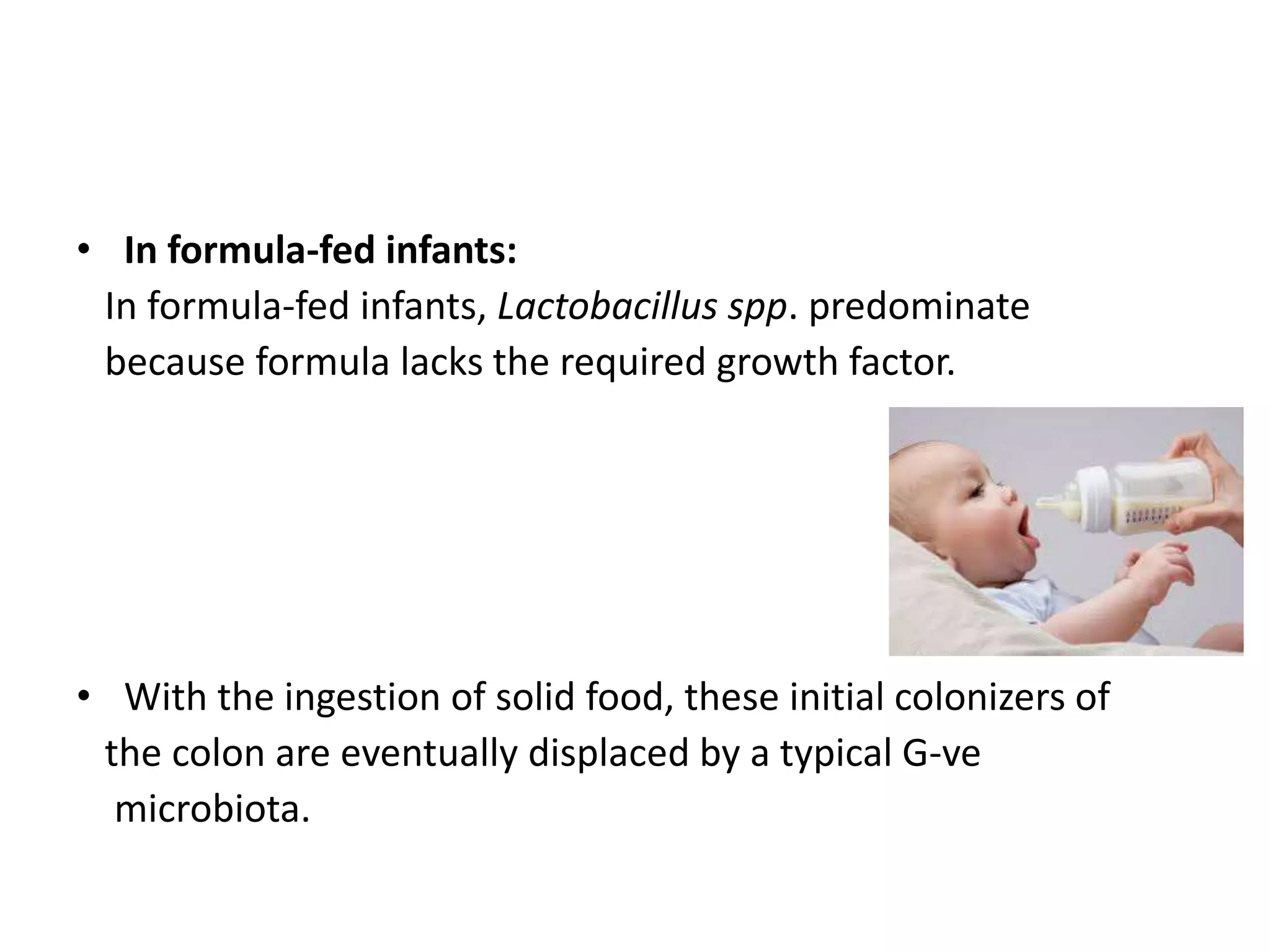 Human microbial flora | PPTX