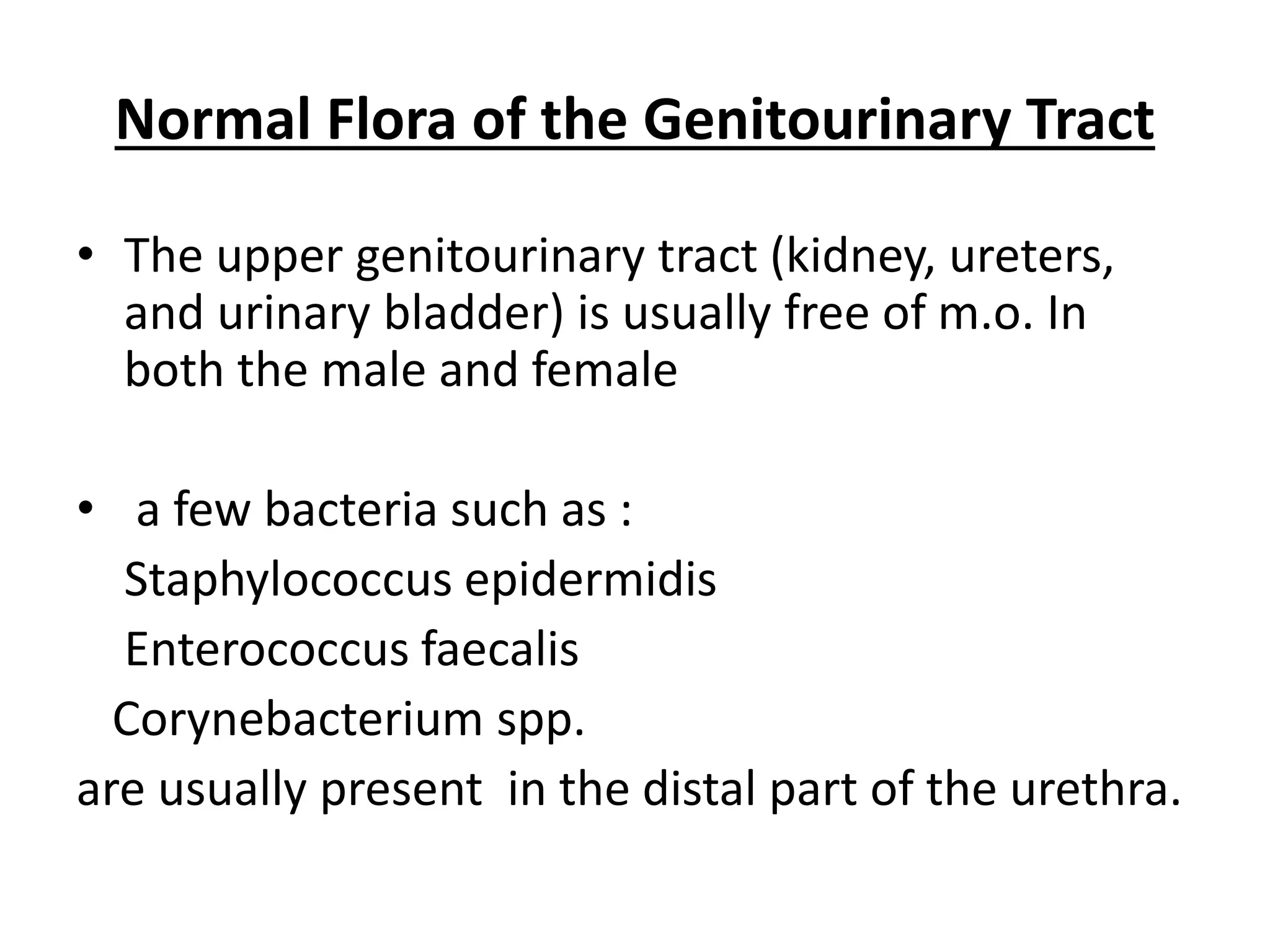 Human microbial flora | PPTX