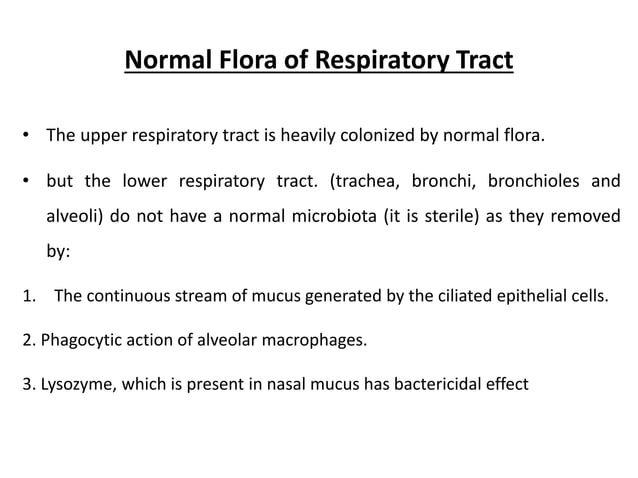 Human microbial flora | PPTX | Ear, Nose and Throat Conditions ...