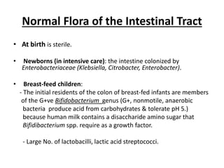 Human microbial flora | PPTX