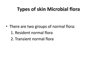 Human microbial flora | PPTX