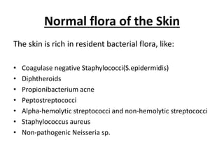 Human microbial flora | PPTX