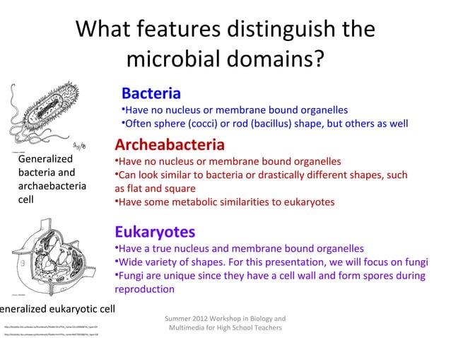 4.6 Human Microbiome | PPT