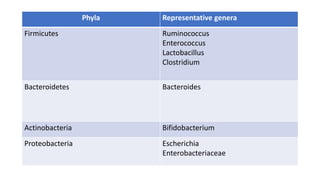 Human microbiome: Friend and Foe | PPTX