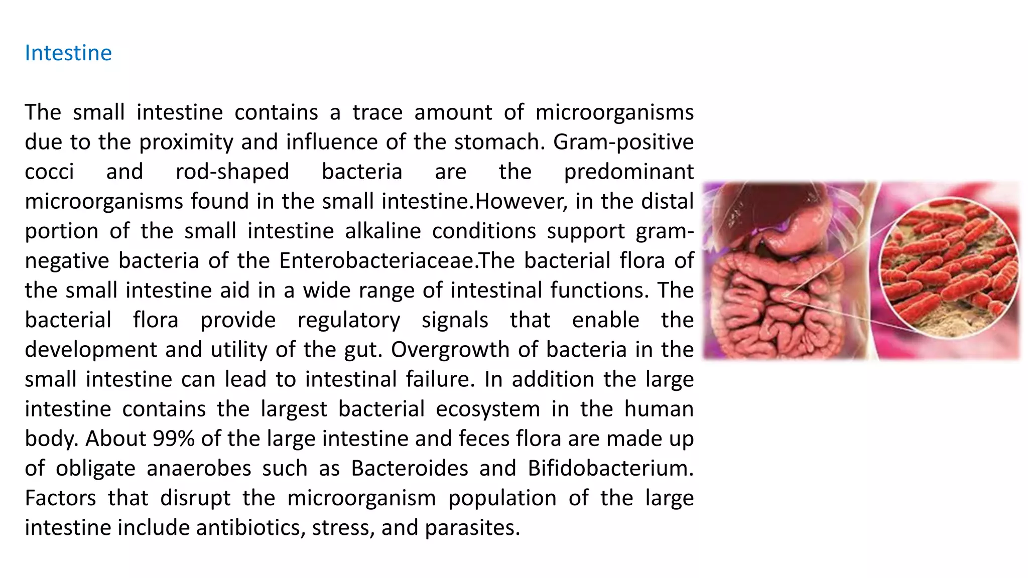 Human Microbiome.pptx | Skin and Dermatology | Diseases and Conditions